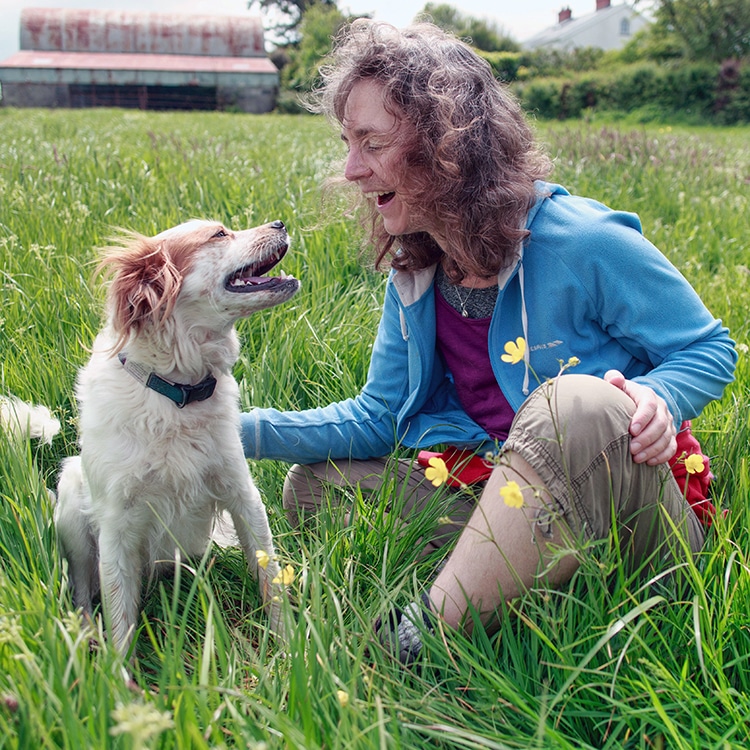 Prestations | Dog'titude